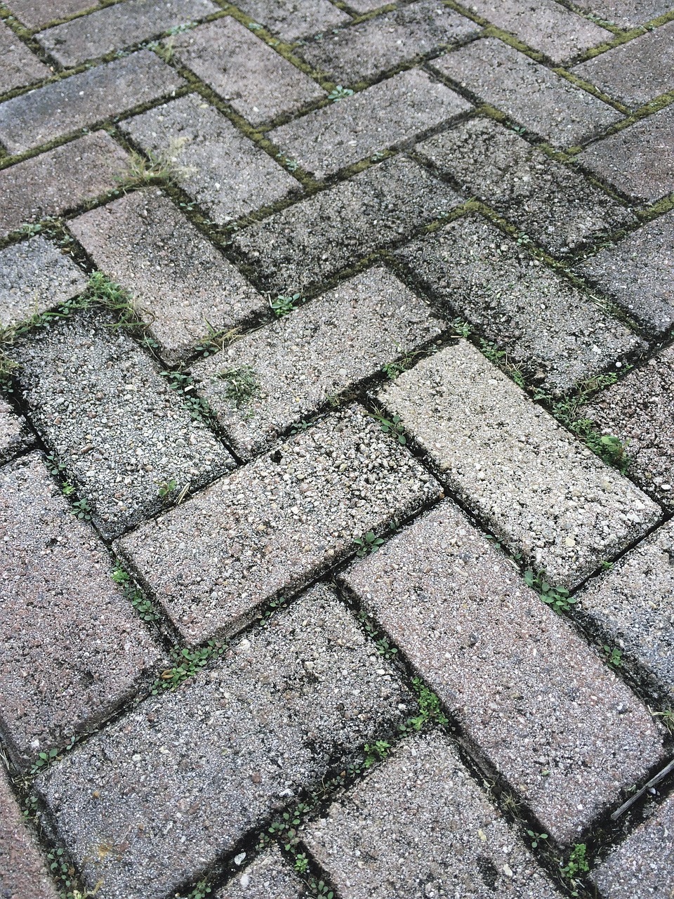 Stamped Concrete vs. Pavers: Cost Comparison & Guide